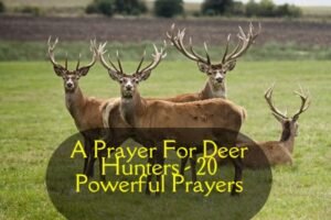 A Prayer For Deer Hunters - 20 Powerful Prayers