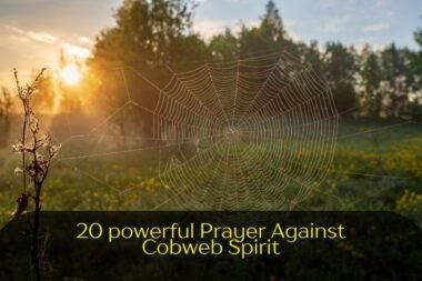 20 Powerful Prayer Against Cobweb Spirit In My Life